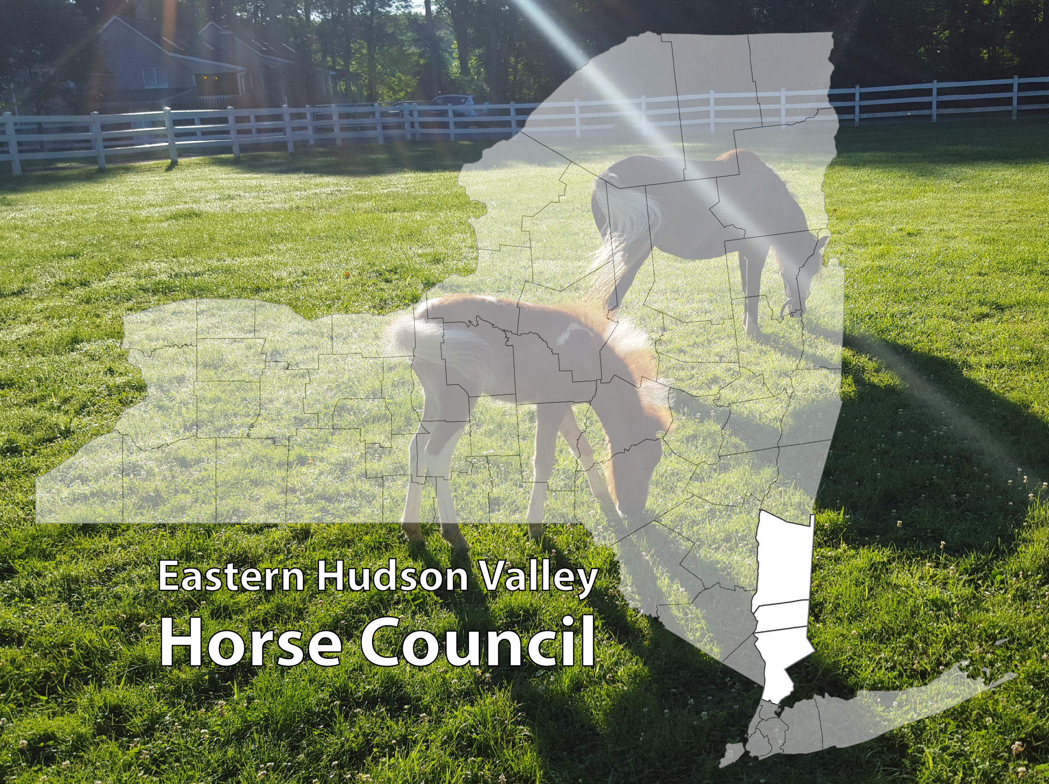 Gallery – Eastern Hudson Valley Horse Council